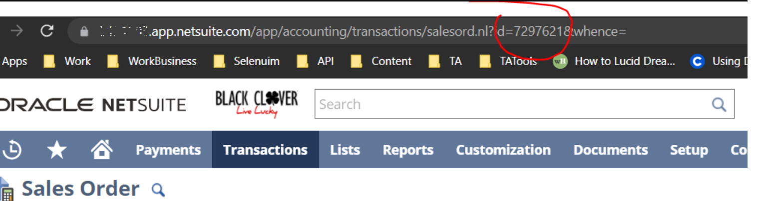 NetSuite Troubleshooting